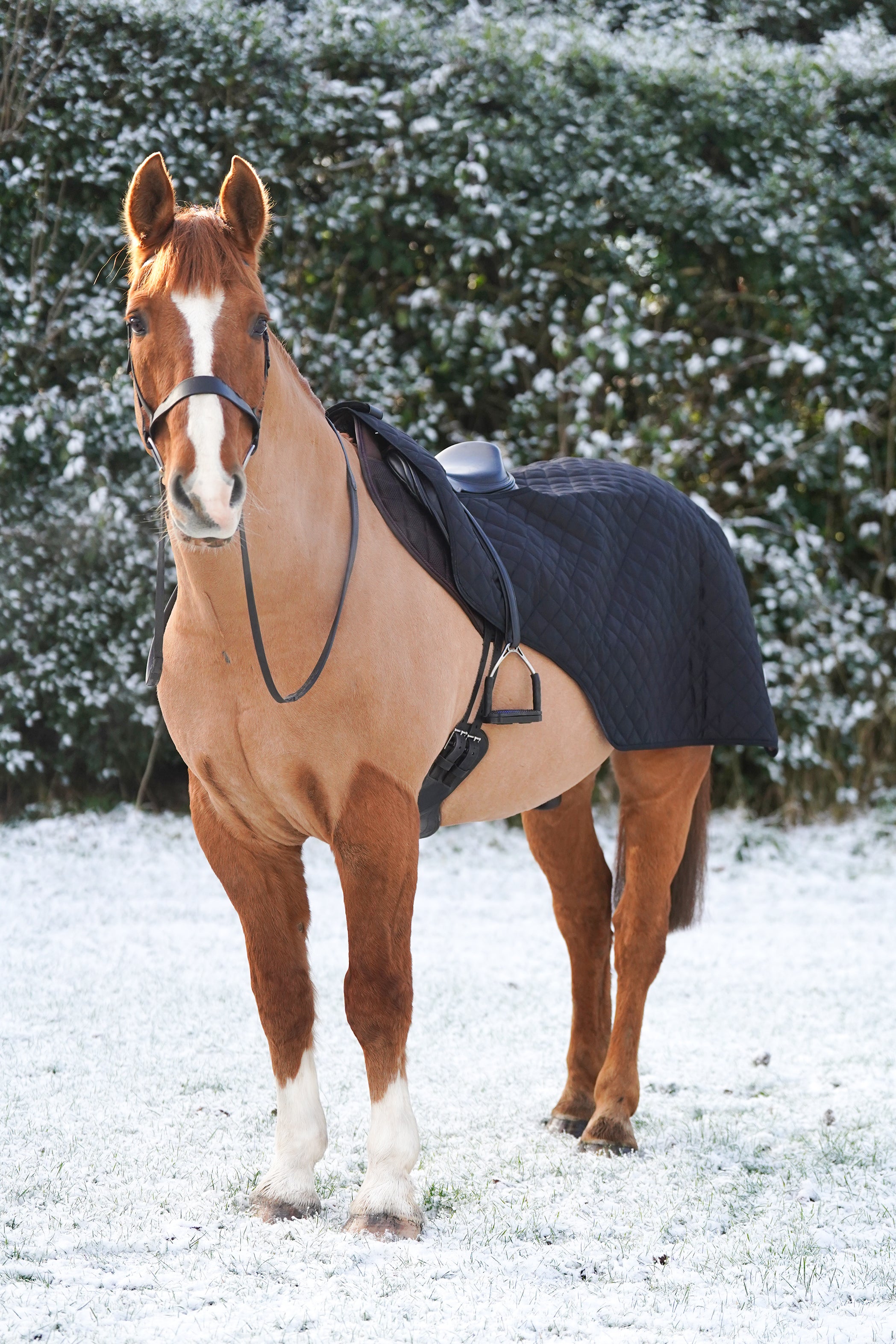 Horse Exercise Sheet Rug Ride on rug 160g Fur Lining – Uhlan