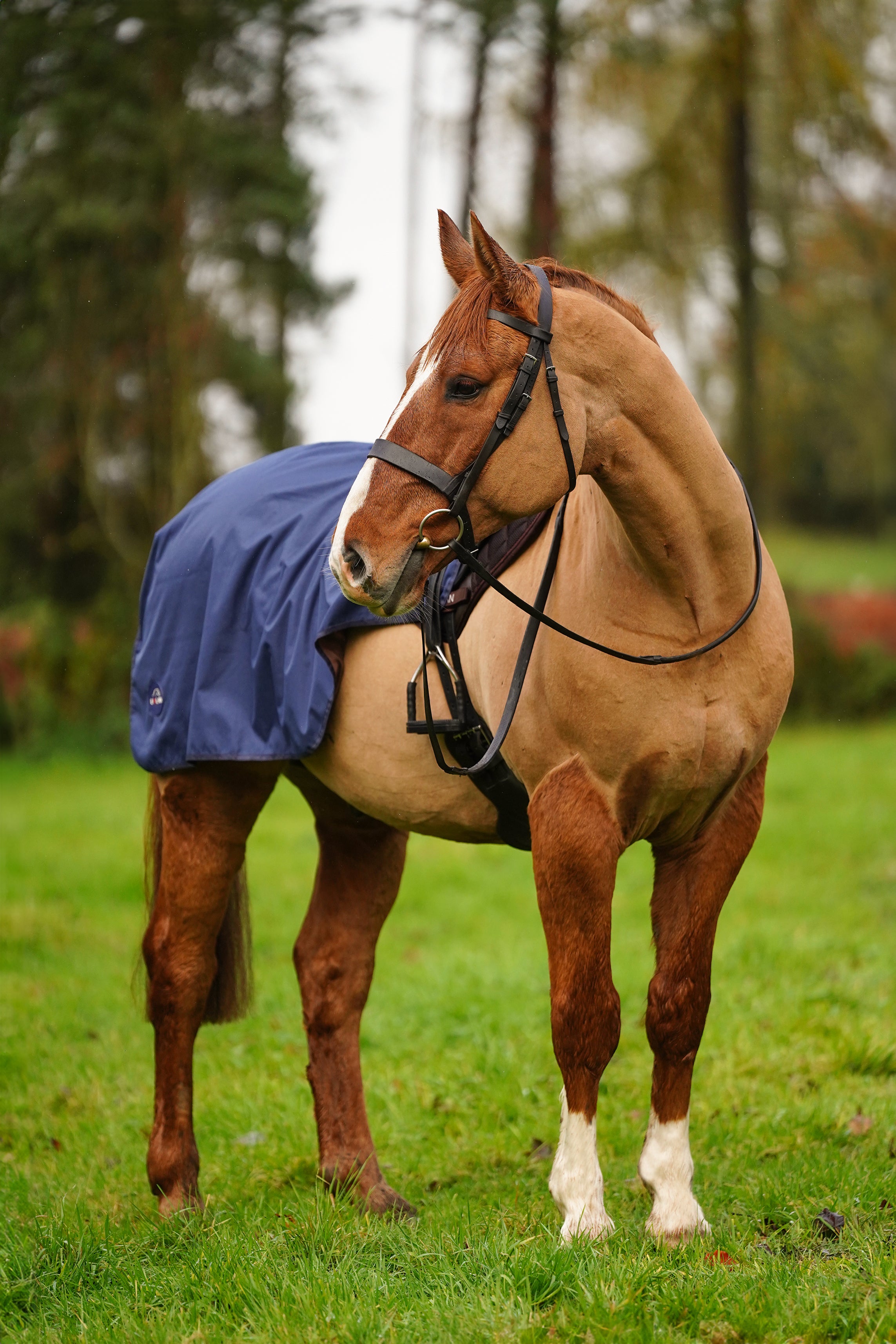 Horse Exercise Sheet Rug Ride on rug Fur Lining Waterproof – Uhlan