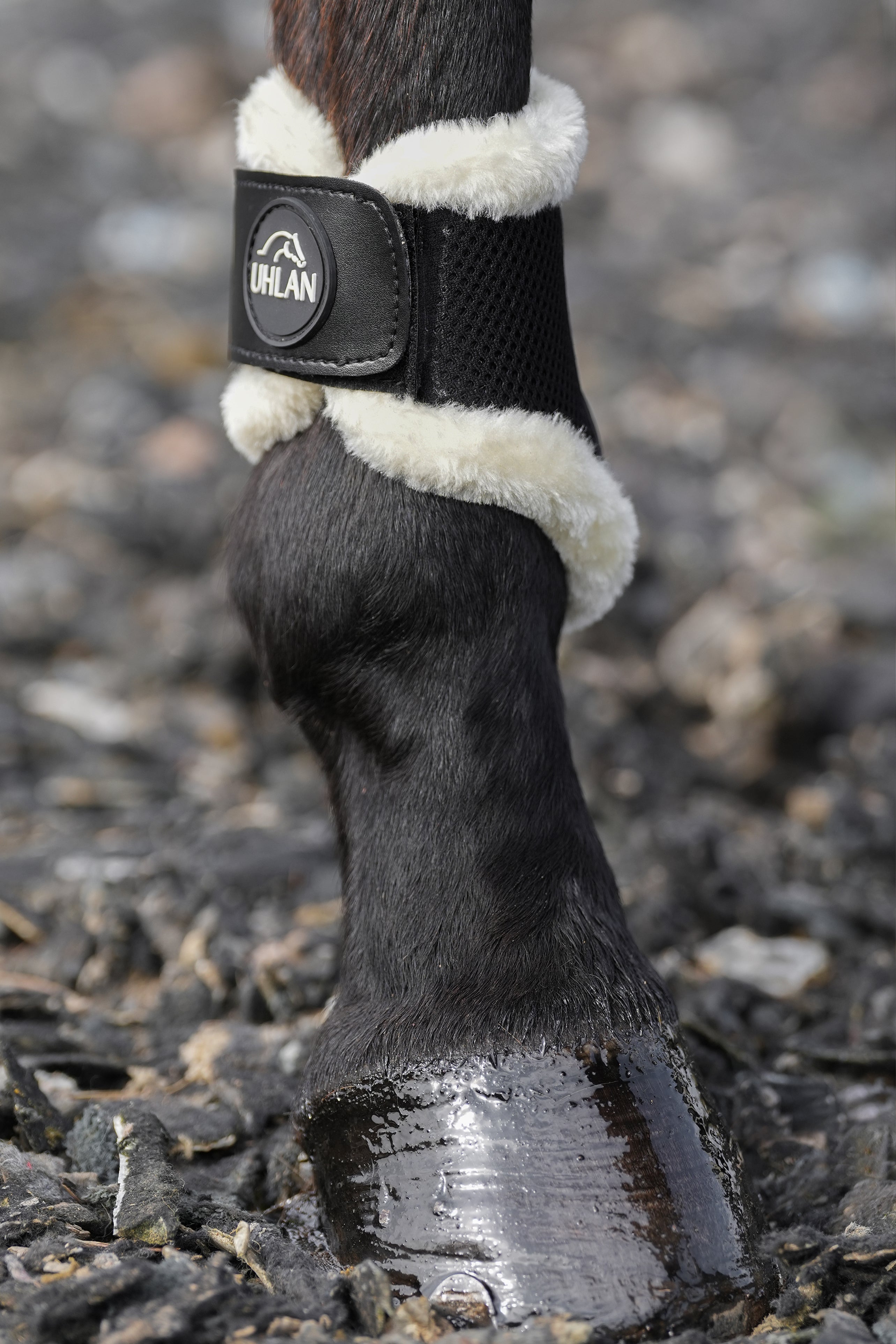 Faux Fur Sheep Skin Trim Breathable Black Fetlock Boots – Uhlan