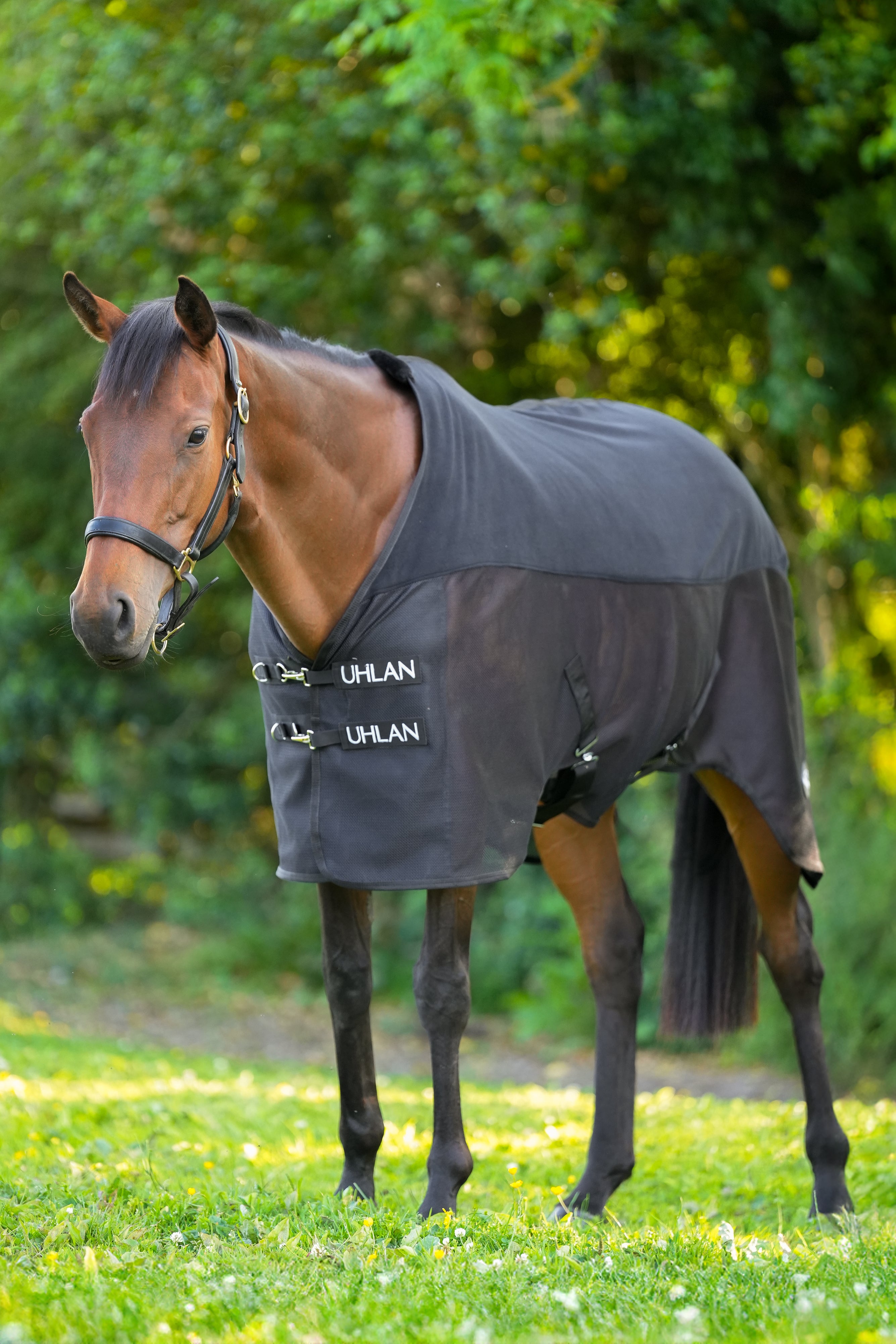 Black Combi Mesh Airflow Cooler Rug 2.0 – Uhlan