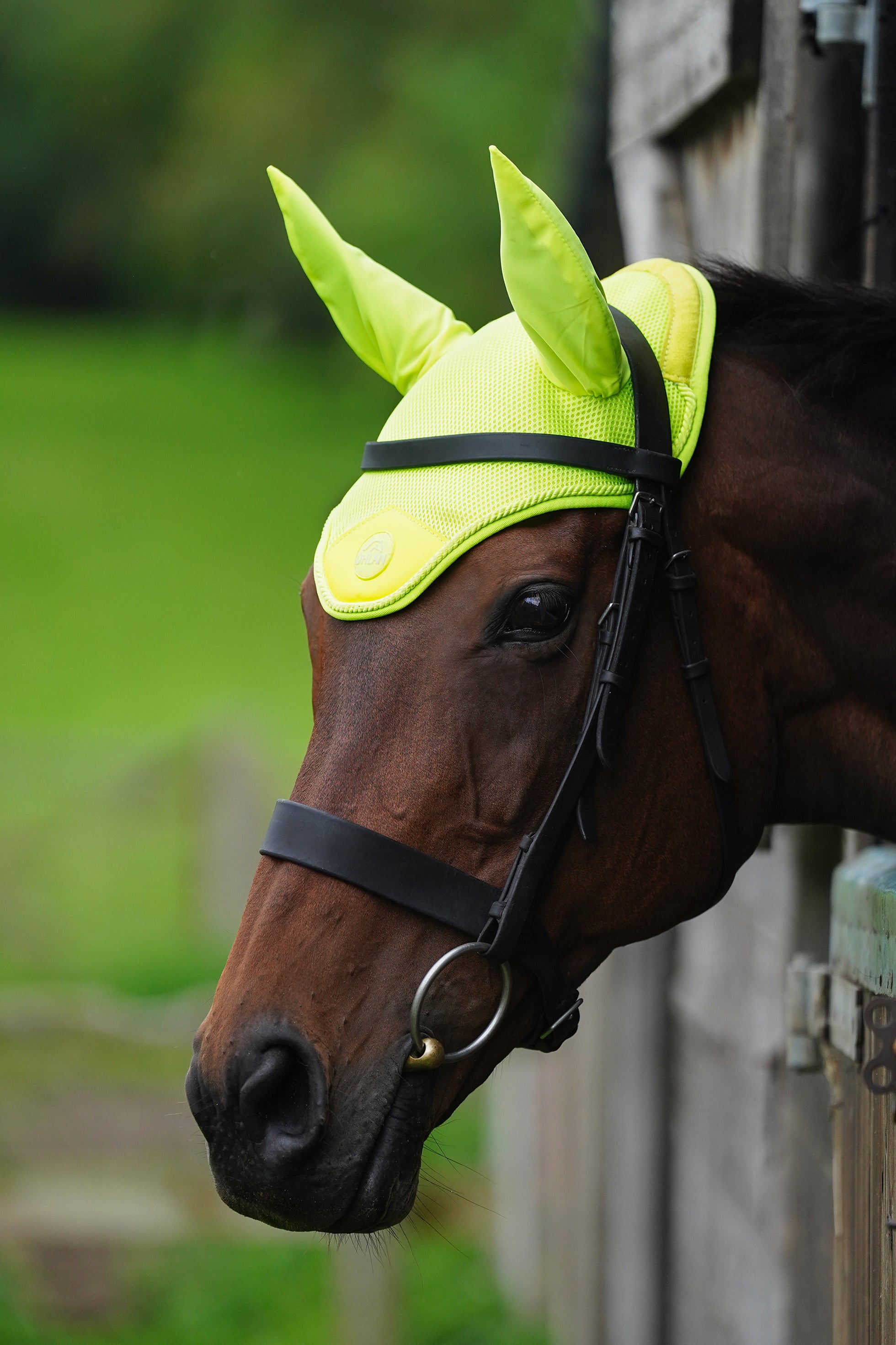 Yellow Hi Viz Airflow Fly Veil/Ear Bonnet Hi Viz Reflective Ear Bonnet ...