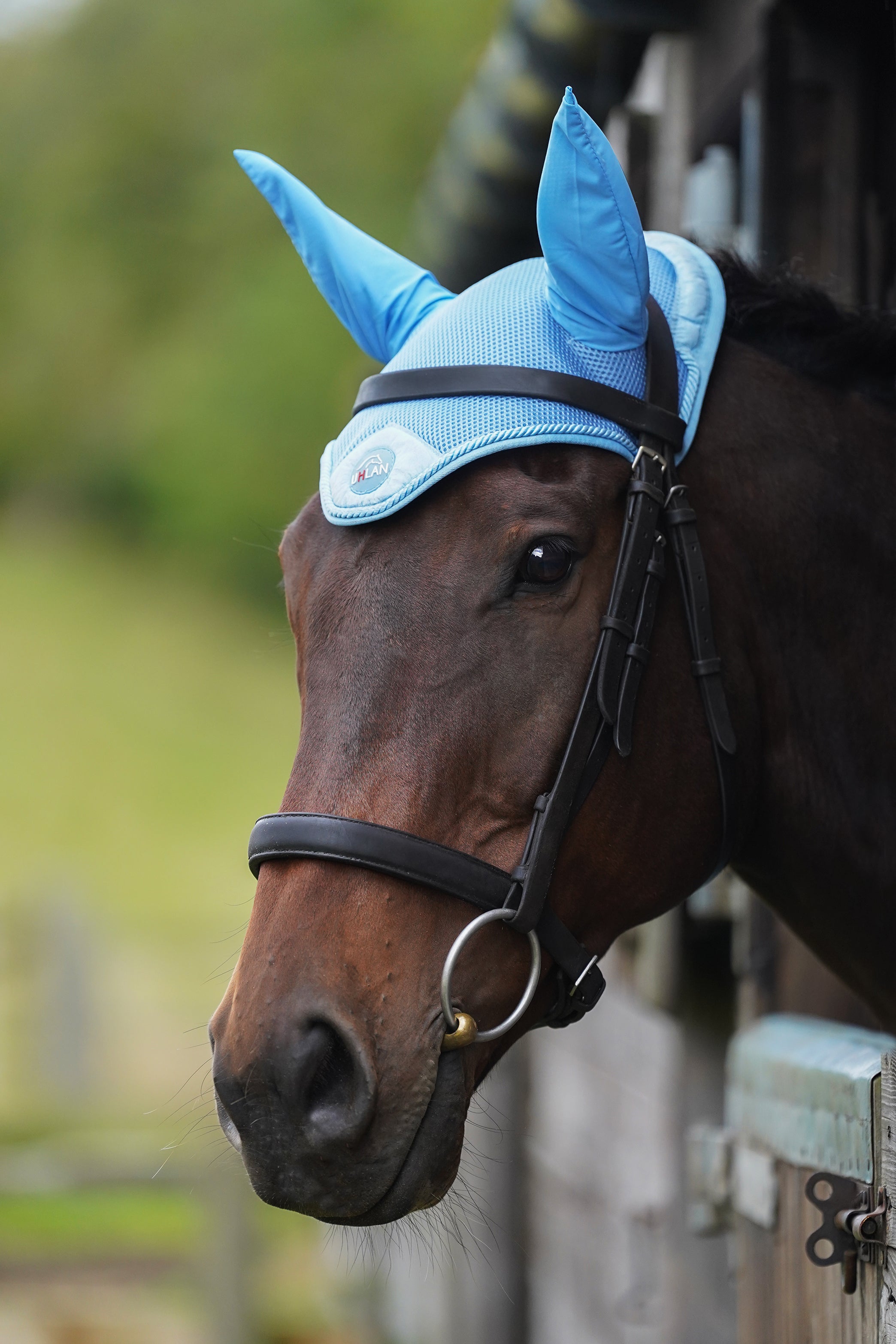 Baby Blue Airflow Fly Veil/Ear Bonnet – Uhlan